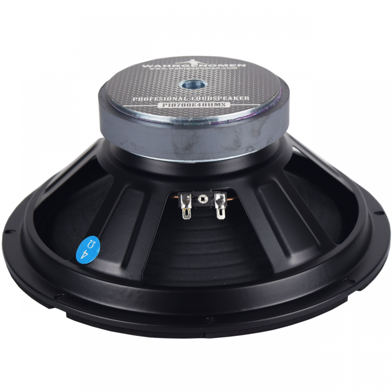 PAR Bocina 10 pulgadas profesional p Line Array 4ohms